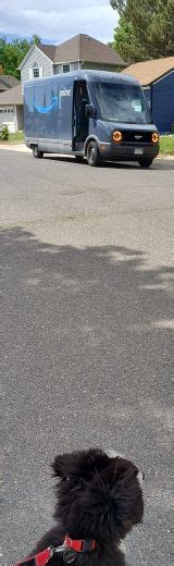 Angie Rodriguez On Linkedin Love This Story