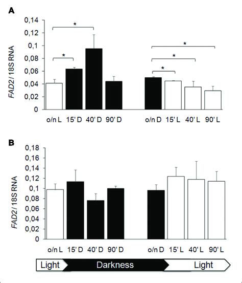 Fad2 Transcription After Light And Darkness Shifts Wild Type A And