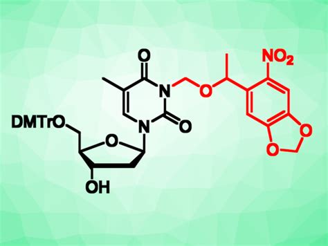 Photoactivation Of Caged Nucleosides Chemistryviews