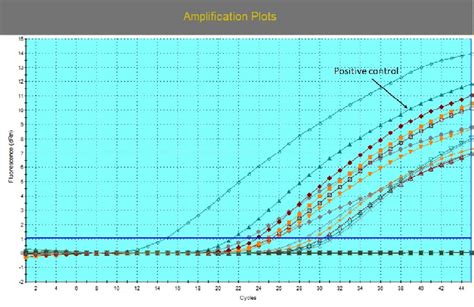 The Amplification Plot For Ehv 4 Qpcr With Different Threshold Cycles Download Scientific
