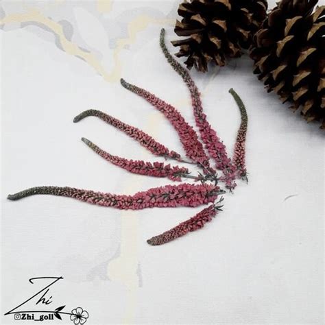 خرید و قیمت گل خشک ورونیکا مخصوص ظروف و زیورآلات رزینی ترب