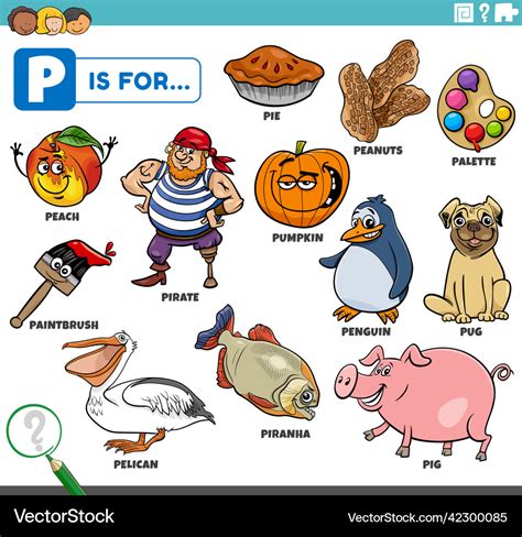 Letter P Words Educational Set With Cartoon Vector Image