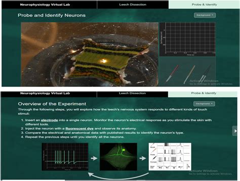 Selected Illustrations From Neurophysiology Virtual Lab Download