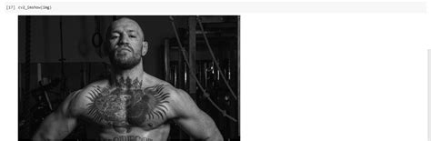 Кейс Хабиб Vs МакГрегор или Распознавание лиц на Python