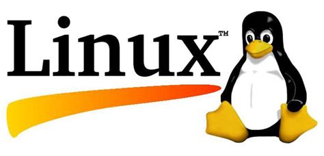 Linux Là Gì Sự Khác Biệt Giữa 2 Hệ đều Hành Linux Và Windows Cấu Trúc Của Hệ điều Hành Linux