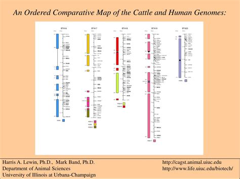 Ppt Computational Comparative Genomics And Genome Evolution Powerpoint Presentation Id 4803667