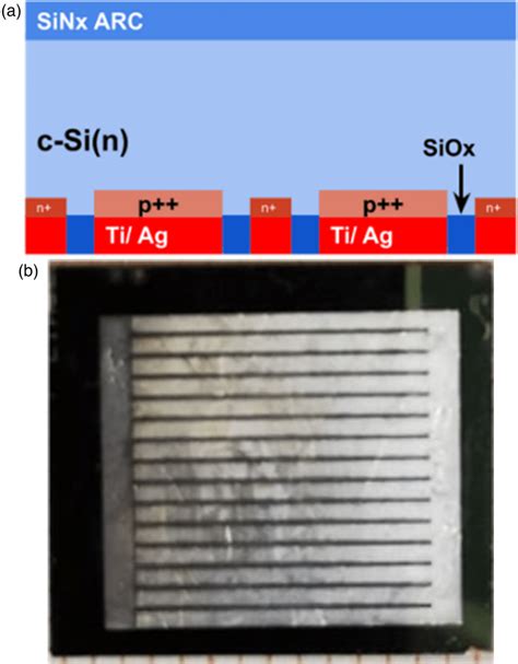 Schematic Left And Back Side Image Right Of The Silicon Download Scientific Diagram