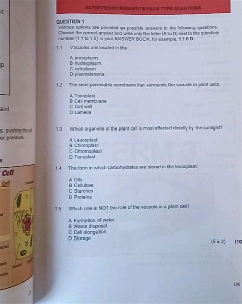 ACTIVITIESWORKSHEETSEXAM TYPE QUESTIONS StudyX