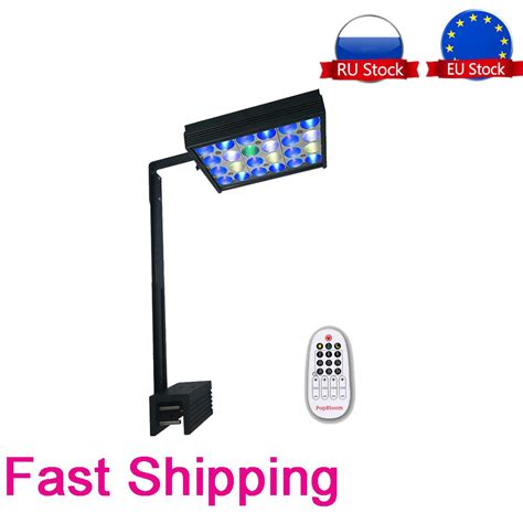 Transform Your Aquarium With Led Brilliance Petswoo