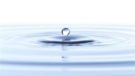 Tracie Jo Tj Crowthers On Linkedin Genepoolnetworks