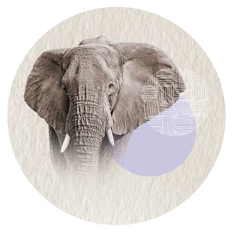 Medical Gap Cover Stratum Benefits