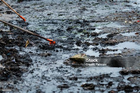 자원 봉사자는 갈 퀴를 사용 하 여 바다에서 쓰레기를 청소 청소기 바다 해변에 쓰레기를 수집 하는 해변 해변 청소 자원