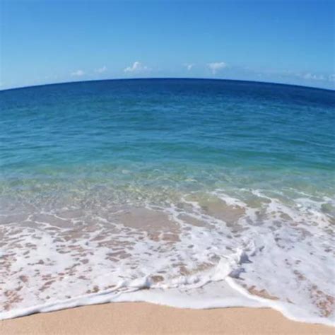 逆流成河王喜乐高音质在线试听逆流成河歌词歌曲下载酷狗音乐