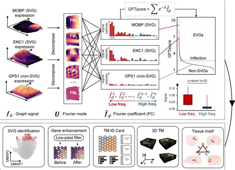 Bmbl Bioinformatics And Mathematical Biosciences Lab