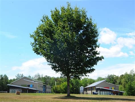 unity environmental university sees enrollment grow as it continues transition to distance learning