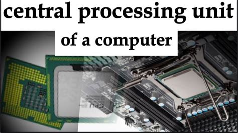 What Is Cpu Full Explanation Parts Of Cpu Cu Alu Register And Catch And
