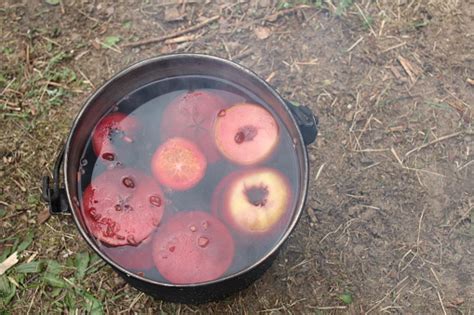 냄비에 사과와 체리 블루베리를 곁들인 설탕에 절인 과일 캠핑 주방 음식 평면도 자연 속의 음식 음료 0명에 대한 스톡 사진 및 기타 이미지 Istock