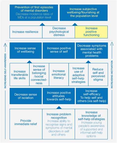 Figure A1 Outcomes Hierarchy For Prevention Users Download