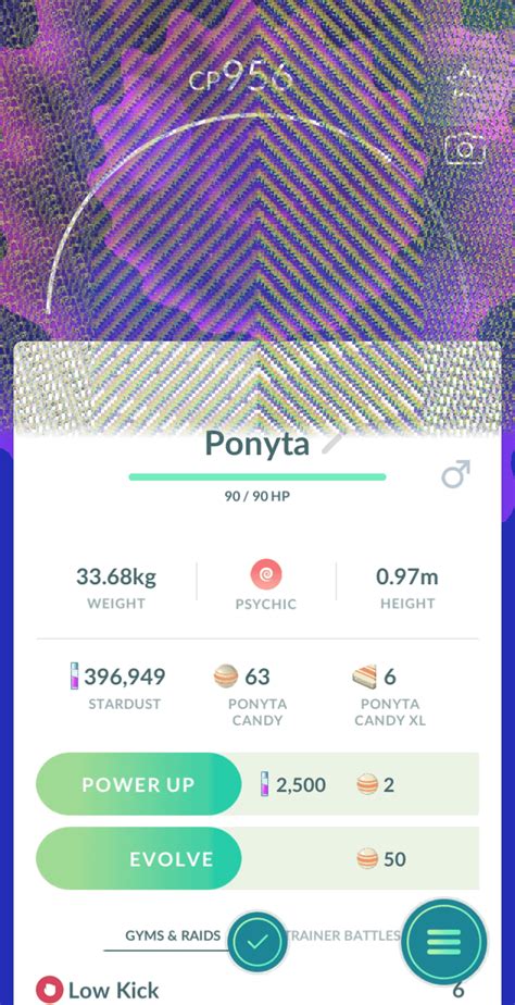 Anyone Else Get Weird Visual Glitches Like These Rpokemongo