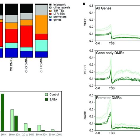 Distribution Patterns Of Altered Methylation A Stacked Bar Plot