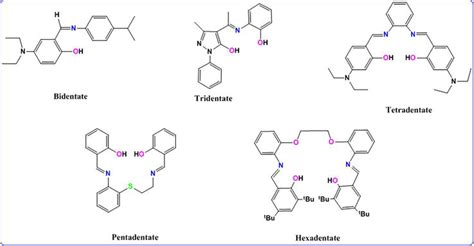 Schiff Bases And Their Metal Complexes Synthesis Structural Characteristics And Applications