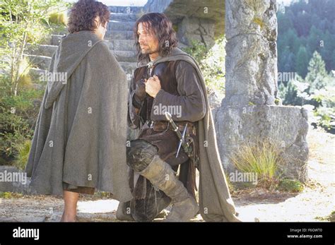 Frodo Baggins Full Body