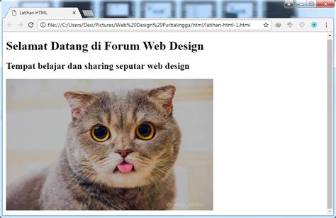 Tutorial Belajar Html 7 Menampilkan Gambar Pada Html Web Design
