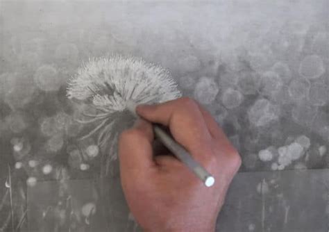 How To Draw A Dandelion Online Art Lessons