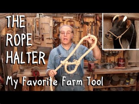 The Rope Halter My Favorite Farm Tool YouTube