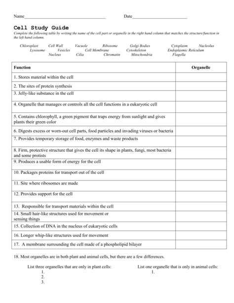 Cell Study Guide Organelles Theory And Organization