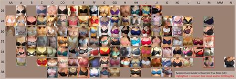 Visual Guide To Illustrate Correct Bra Sizes Uk Sizing Correct Bra Sizing Very Beautiful