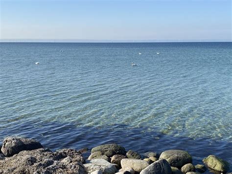 Last Sampling Trip For Determining The Effect Of Seagrass Meadows On Seasonal Infauna Benthic