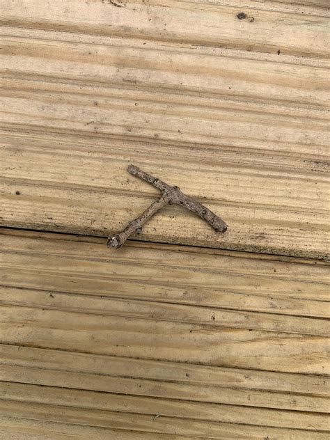 Aphex Twig Raphextwin