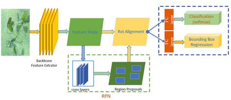Faster R Cnn Architecture For Seagrass Detection First This Model Download Scientific Diagram