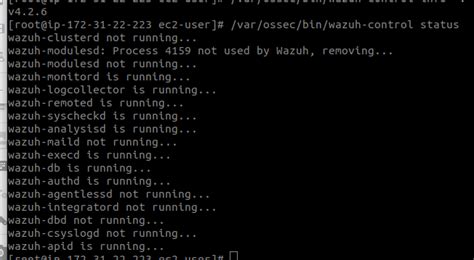 Release 432 Vulnerability Detector Segmentation Fault In Modulesd · Issue 2934 · Wazuh