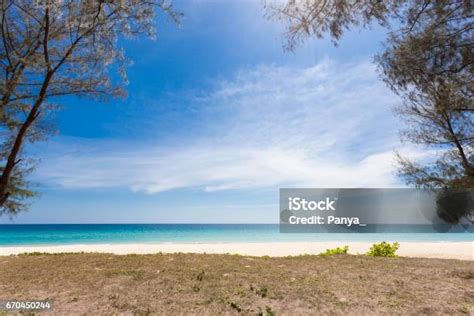 열대 해변의 나무 여름과 여행에 대한 아름다운 풍경 배경 투어 배경 관광에 대한 스톡 사진 및 기타 이미지 관광 관광객 나무 Istock