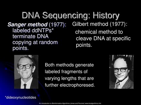 Ppt Graph Algorithms In Bioinformatics Powerpoint Presentation Free Download Id 3306527