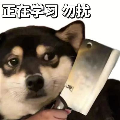 拿菜刀的小狗搞怪表情 好用又好玩的表情合集 表情包大全