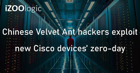Chinese Velvet Ant Hackers Exploit New Cisco Devices Zero Day