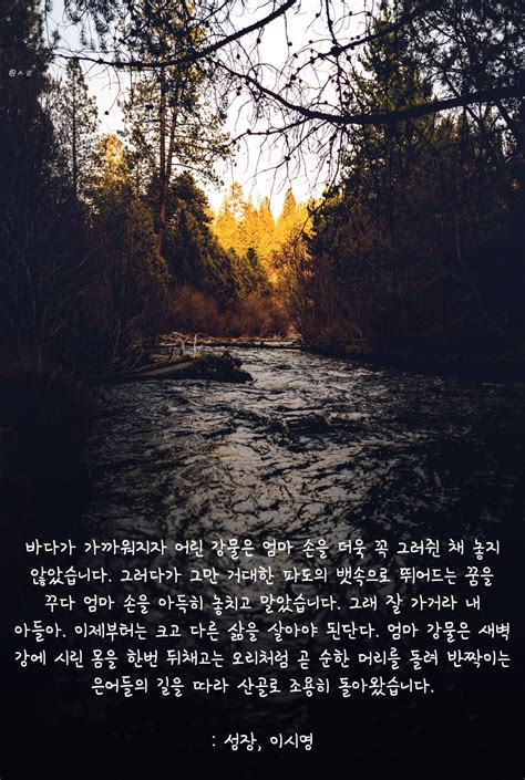 그래 잘 가거라 내 아들아