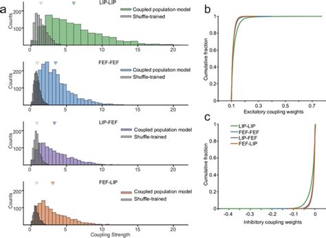 figures and data in recurrent circuit dynamics underlie persistent