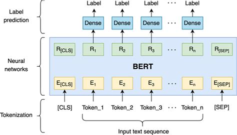 Fine Tuning Bert For Code Mixed Language Identification Full Size Doi Download Scientific