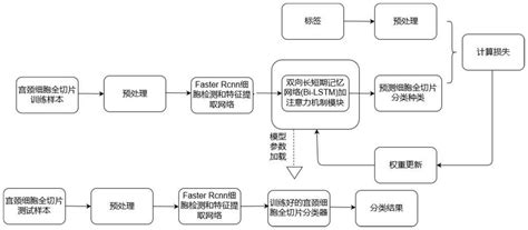 Cervical Cell Full Slice Classification Method Based On Context Modeling Eureka Patsnap