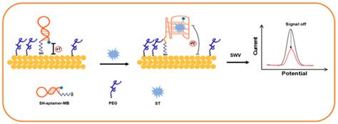 Biosensors Special Issue Current Challenges And Breakthroughs In
