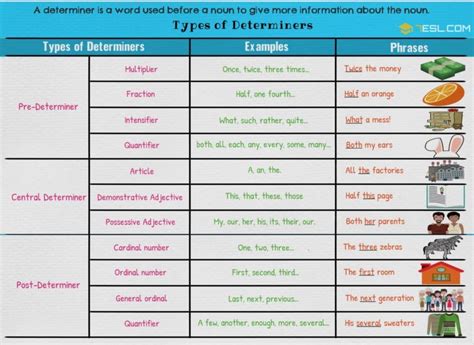 Determiner Definition Types List And Useful Examples Of Determiners • 7esl