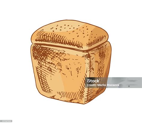 빵 한 덩어리의 벡터 손으로 그린 그림입니다 갈색과 흰색 빵 그리기는 흰색 배경에 고립되어 있습니다 스케치 아이콘과 베이커리 요소는 인쇄 웹 모바일 및 인포그래픽을 위한