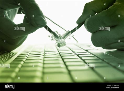 Network And Patch Cables Stock Photo Alamy