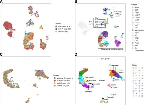 The Umap Visualization Of A B The Mouse Cortex Integration And C D