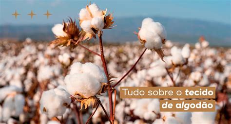 Tecido De Algodão Origem Benefícios E Curiosidades Blog Adar