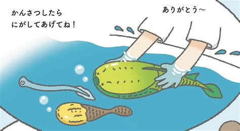 On Twitter Rt Kota Draw